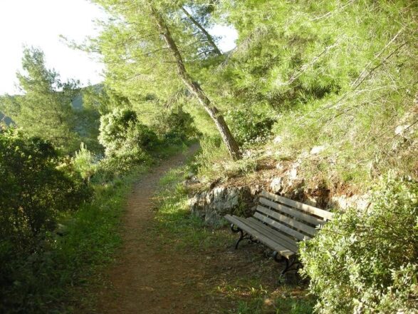 ΚΥΠΑΡΙΣΣΙ - ΙΔΡΥΜΑ ΜΠΟΔΟΣΑΚΗ - BODOSSAKI FOUNDATION