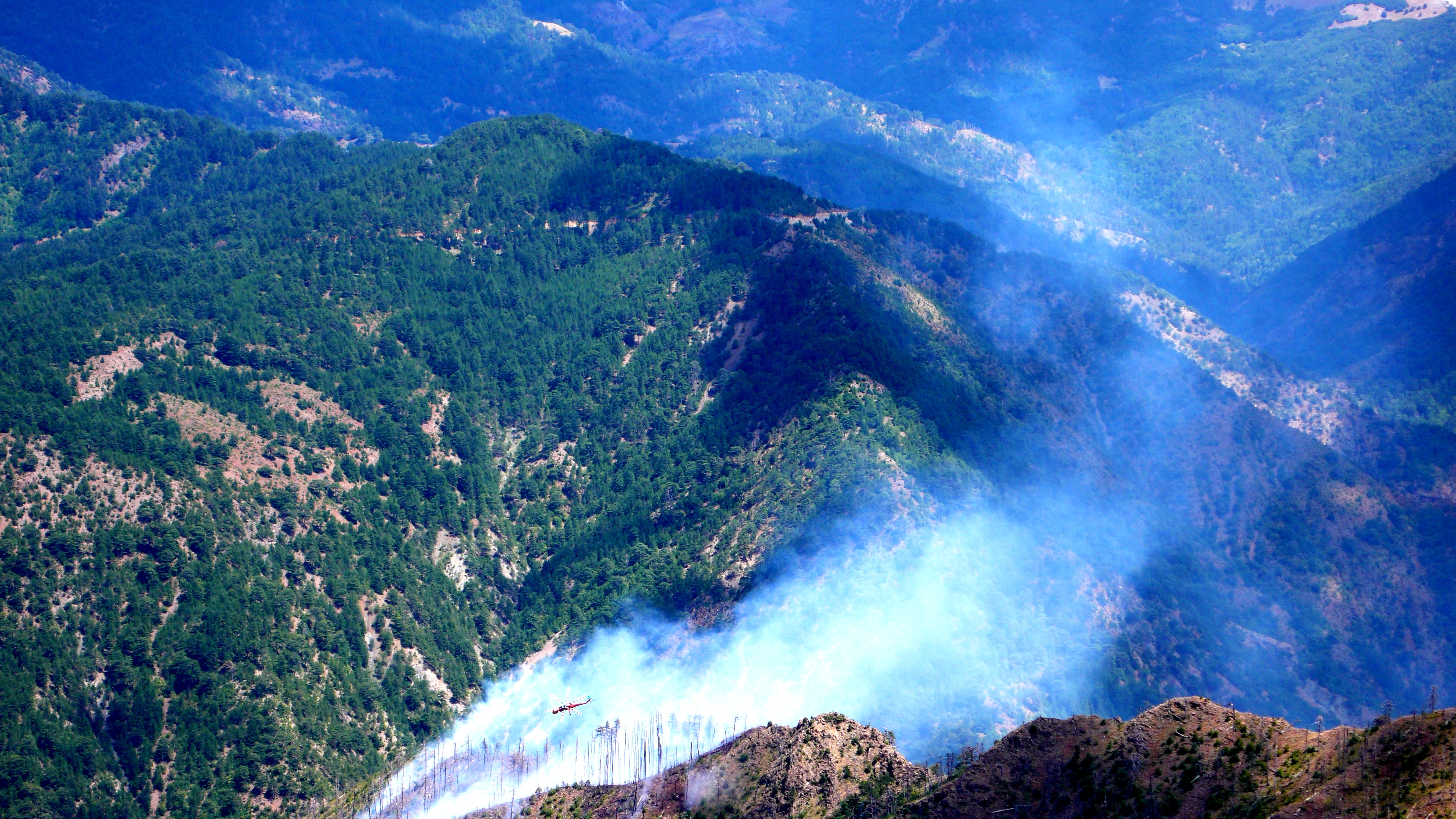 Προστασία δασικών οικοσυστημάτων Βόρειας Πίνδου - ΙΔΡΥΜΑ ΜΠΟΔΟΣΑΚΗ